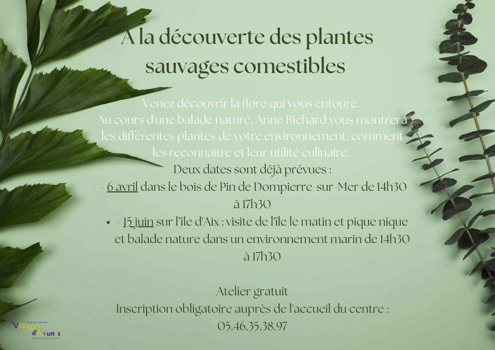 Découverte des plantes sauvages comestibles – Commune de Sainte-Soulle